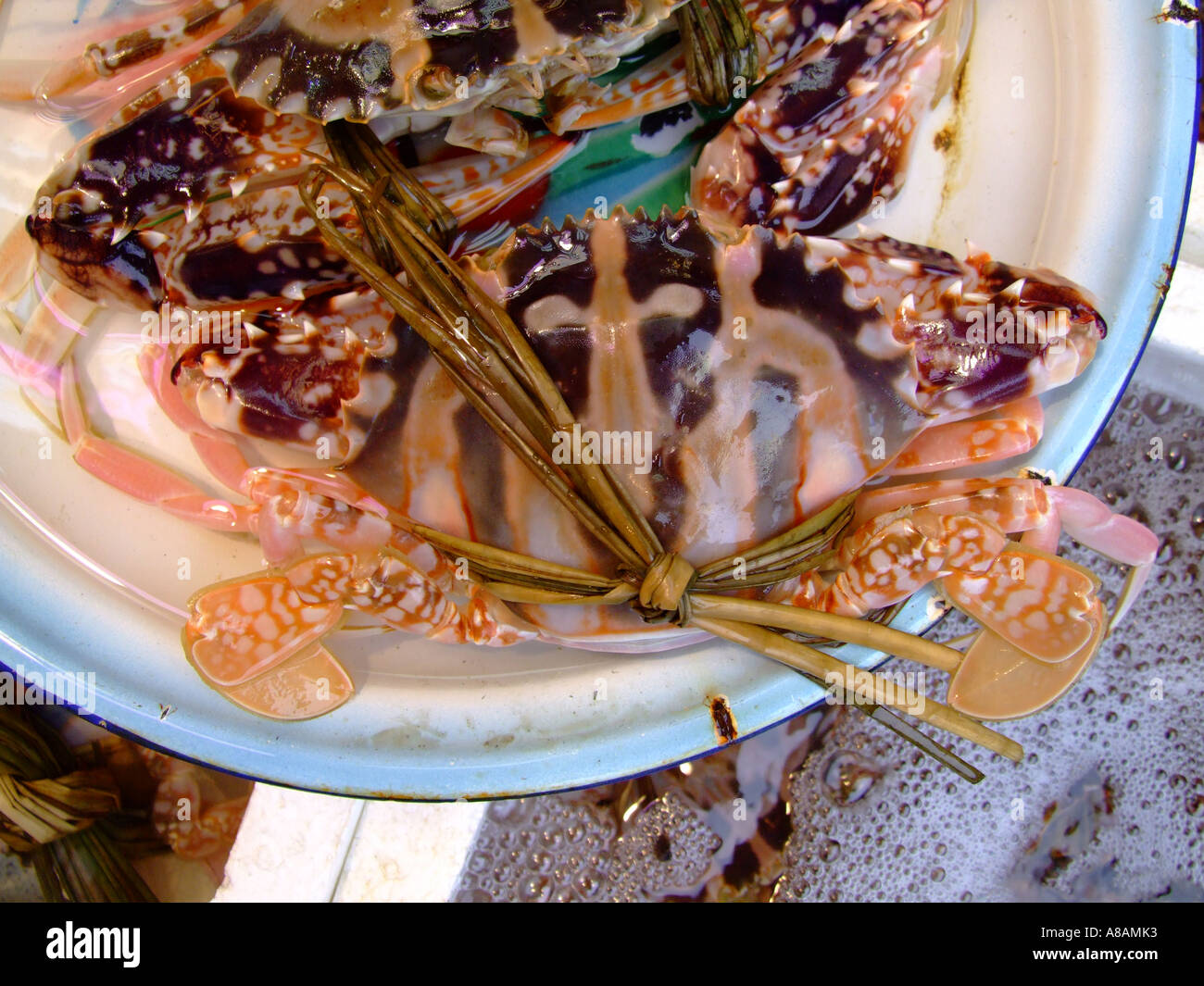 Hong Kong Fish Market Plate of Crabs Stock Photo - Alamy