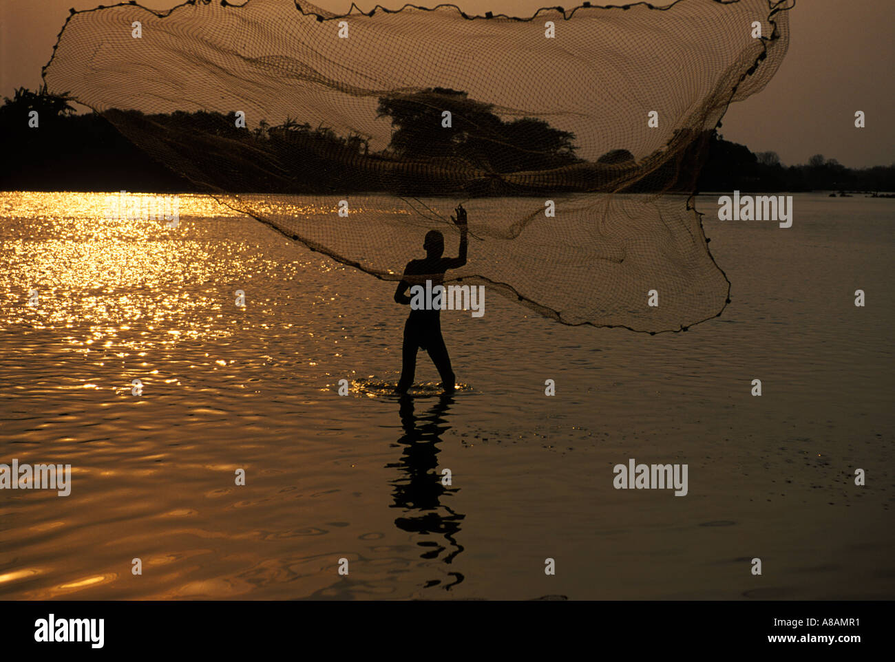traditional fishing with net in the Baro river, Gambella, Ethiopia ...