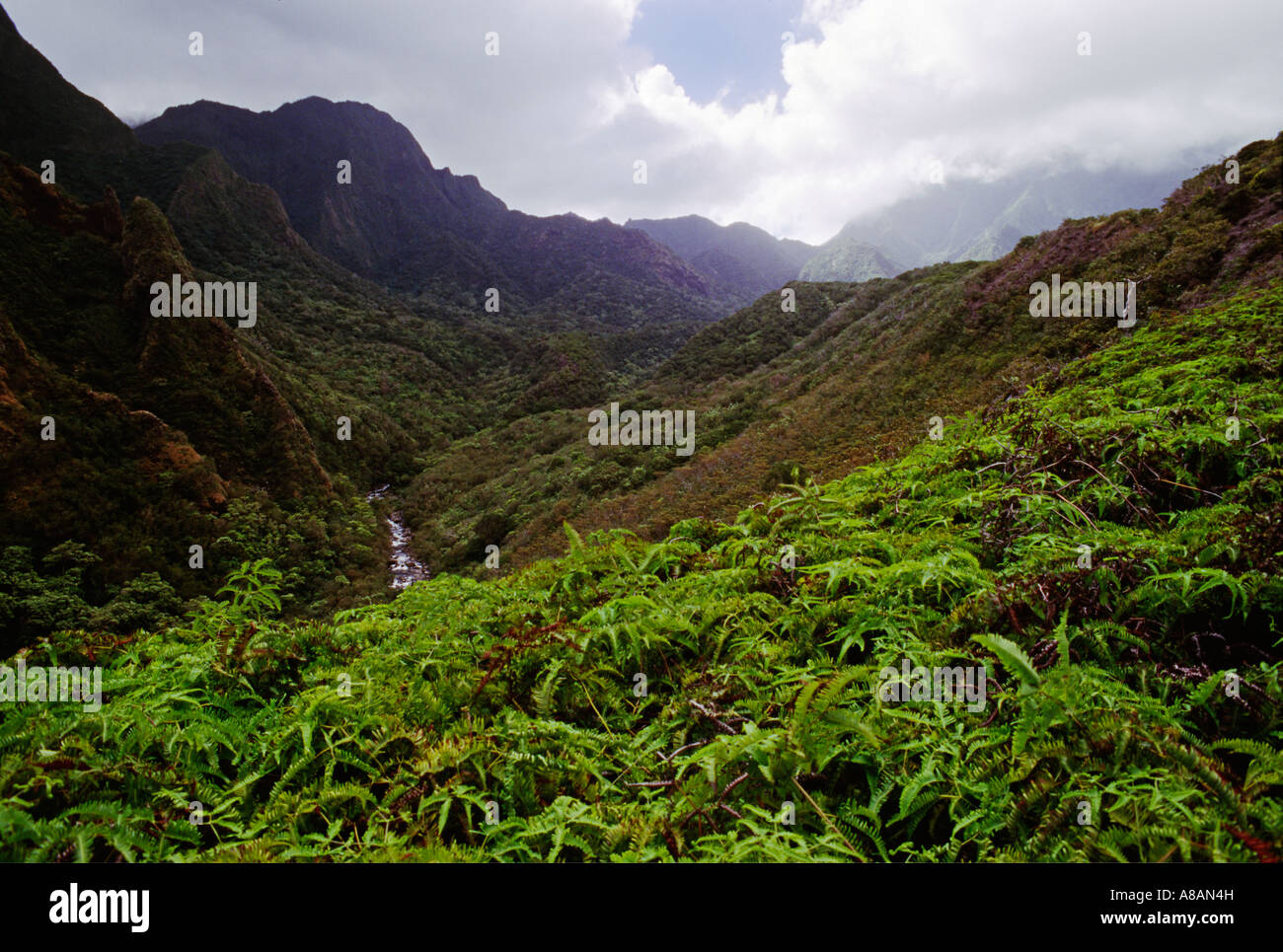 The IAO VALLEY MAUI HAWAII Stock Photo - Alamy