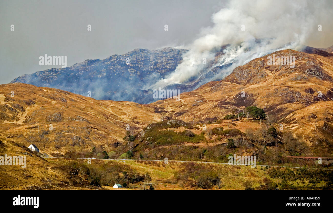Walk in the fire hi-res stock photography and images - Alamy