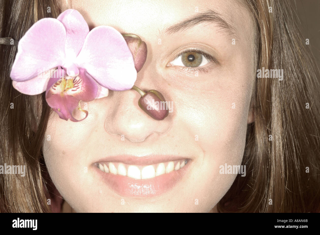 Frontal aspect hi-res stock photography and images - Alamy