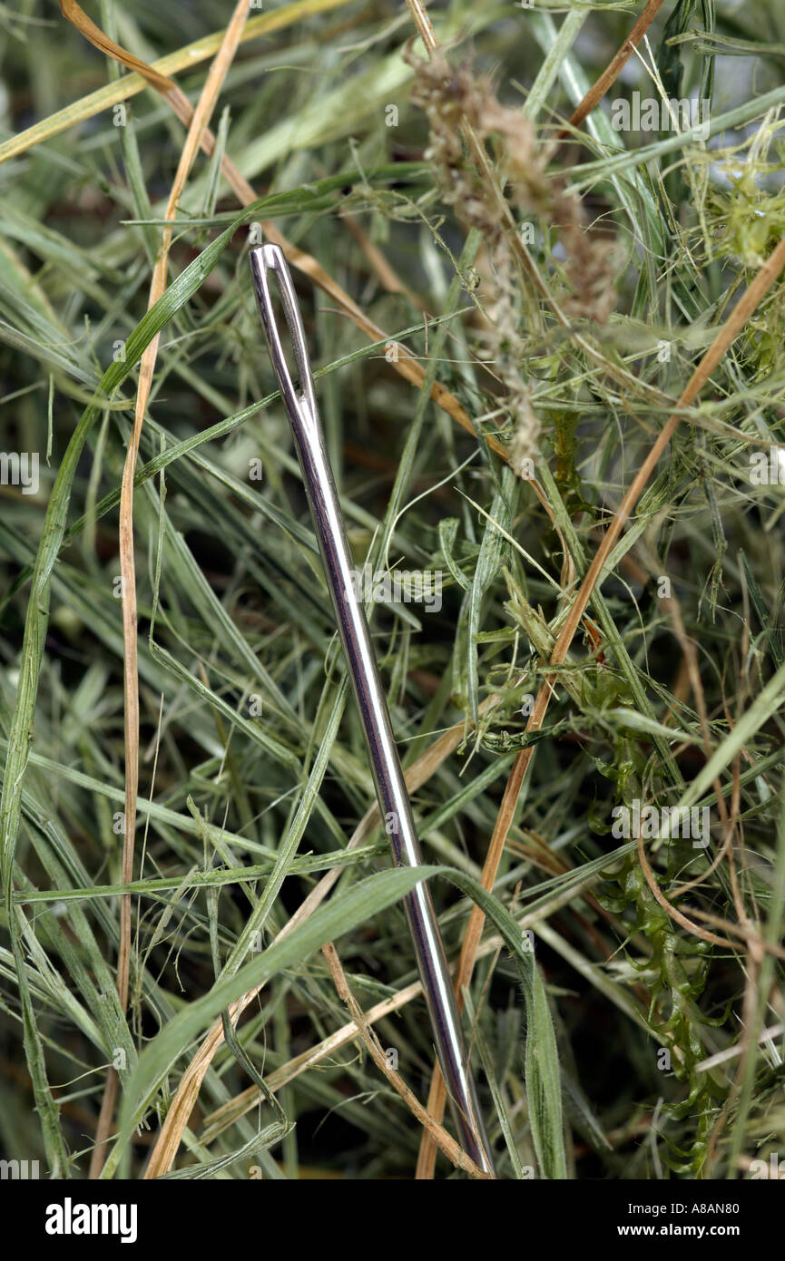 A Needle In A Haystack High Resolution Stock Photography and Images - Alamy