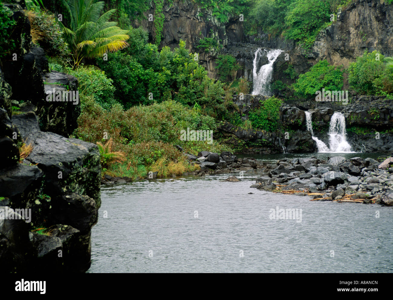 LAVA FOILAGE and WATERFALLS blend in perfect harmony at the 7 SACRED ...