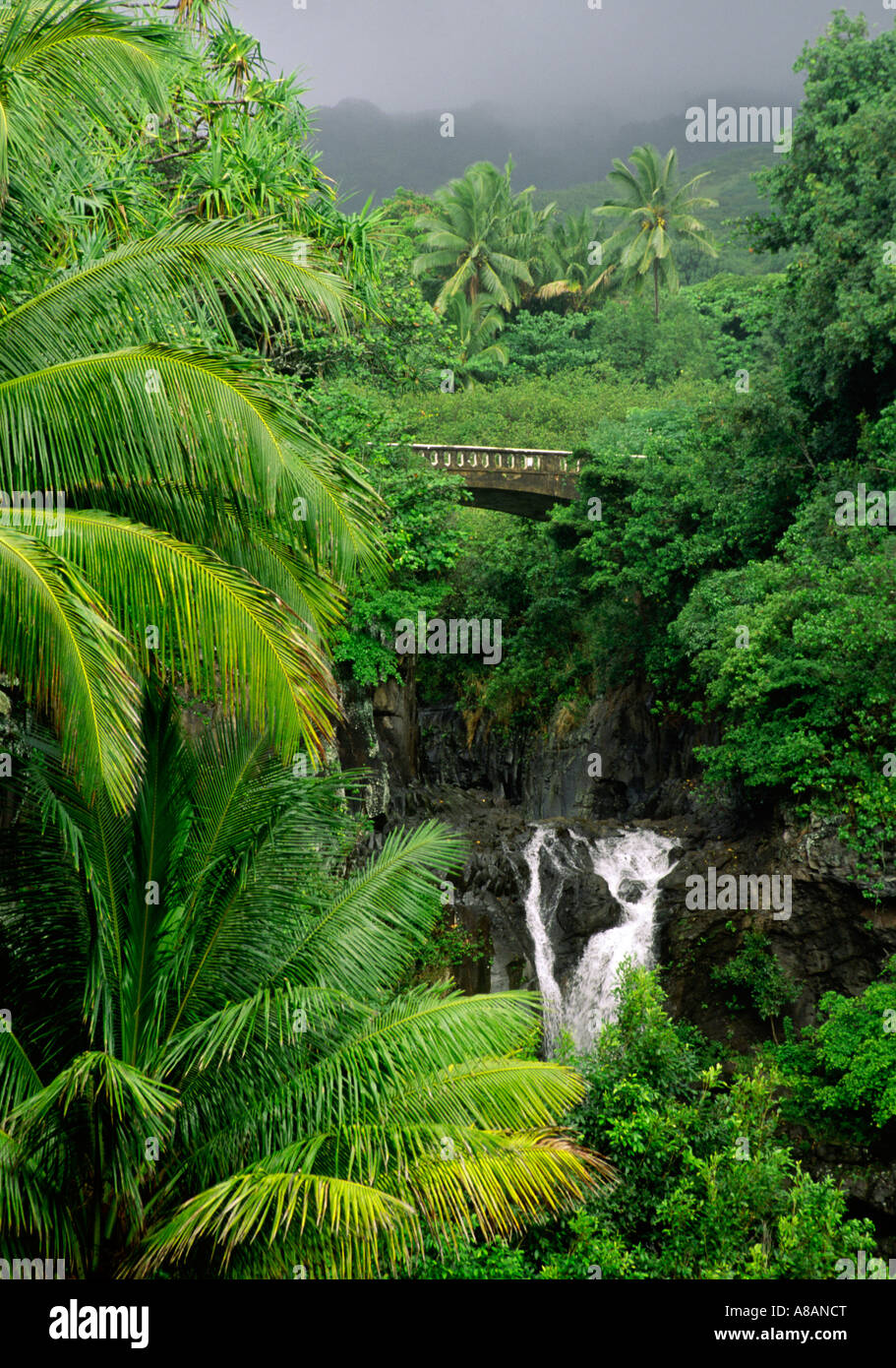 Palm Trees And Waterfalls This Tropical Island Maintains Perfect 32°C