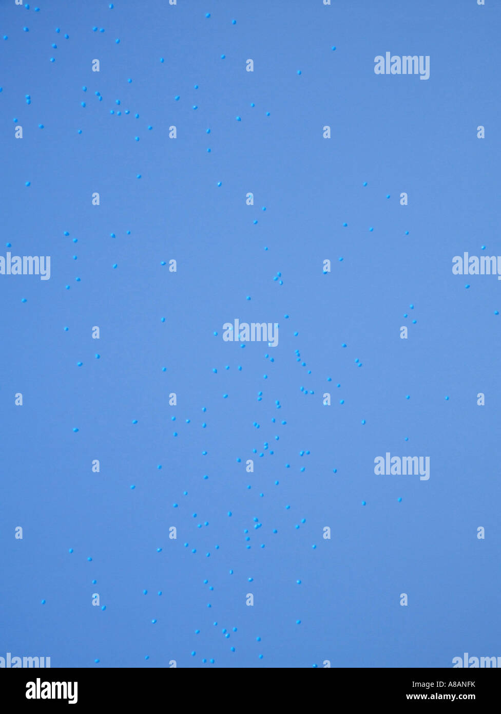 hundreds of blue balloons in sky Stock Photo - Alamy