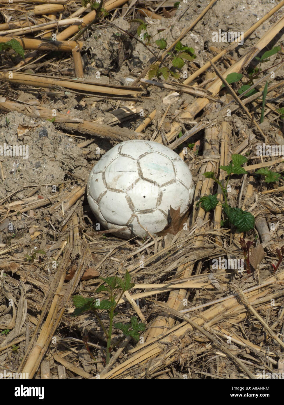 lost ball by river bank Stock Photo - Alamy