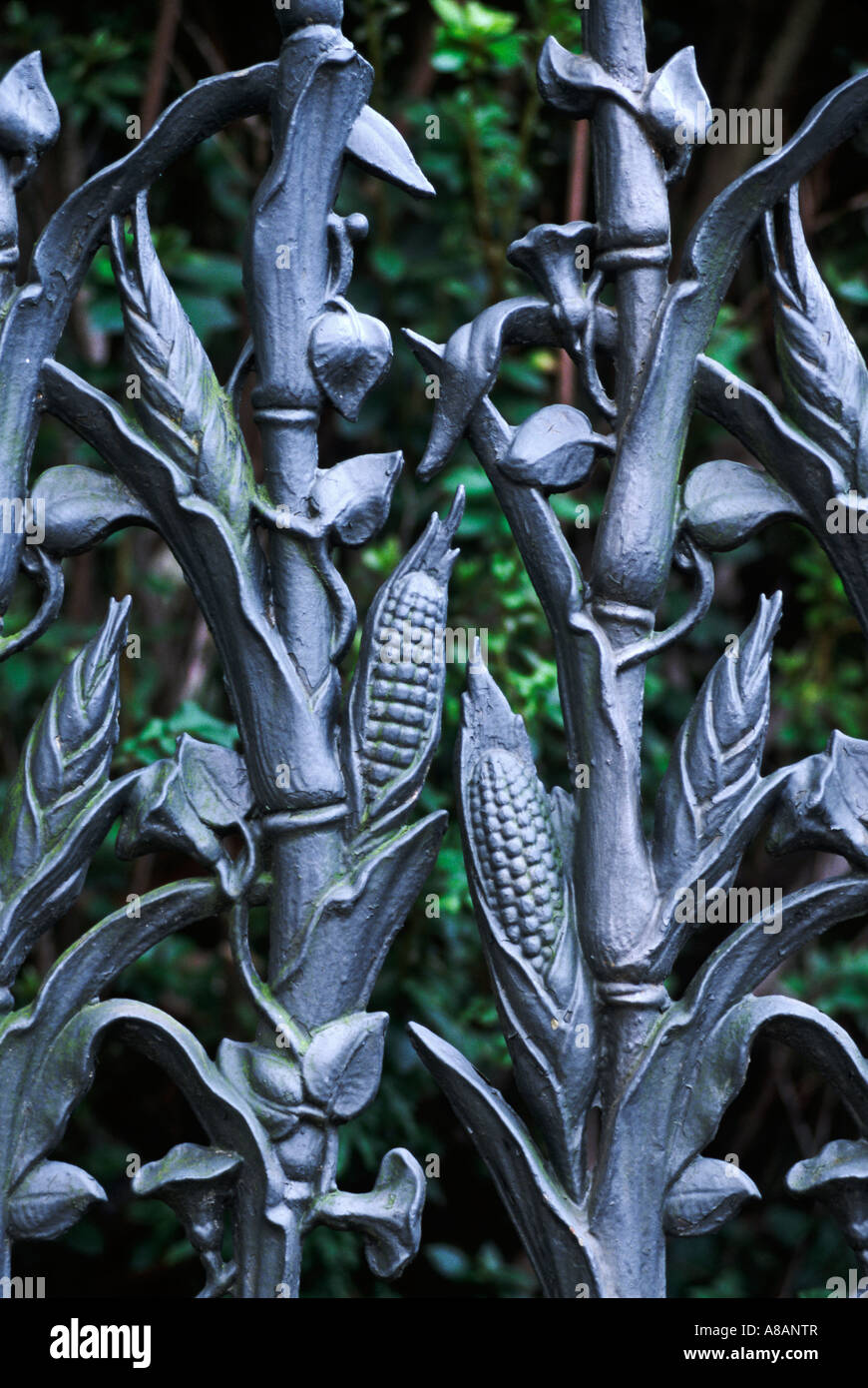 Cornstalk hi-res stock photography and images - Alamy