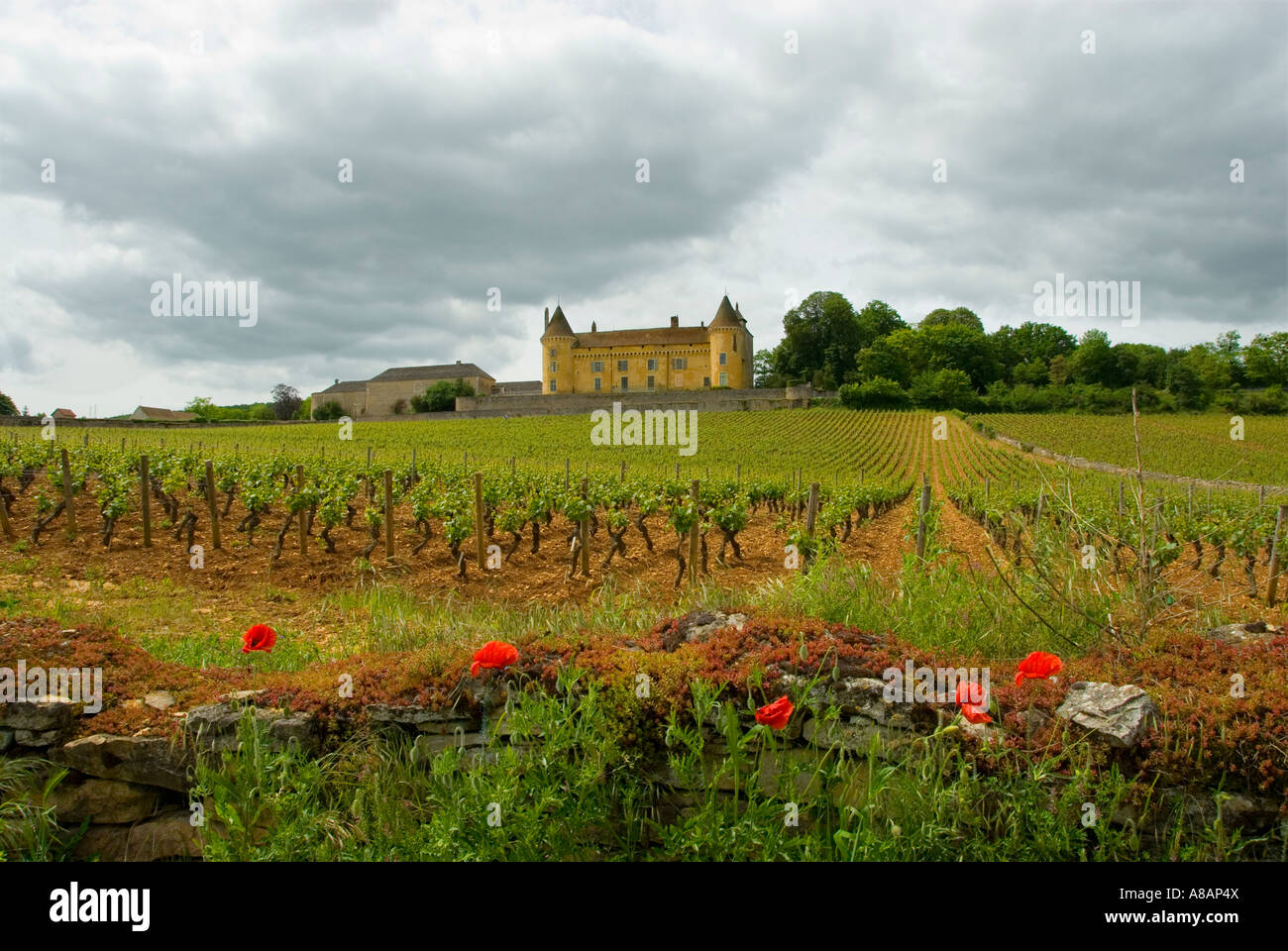 Château de Rully and vineyard with impending rain providing ideal ...