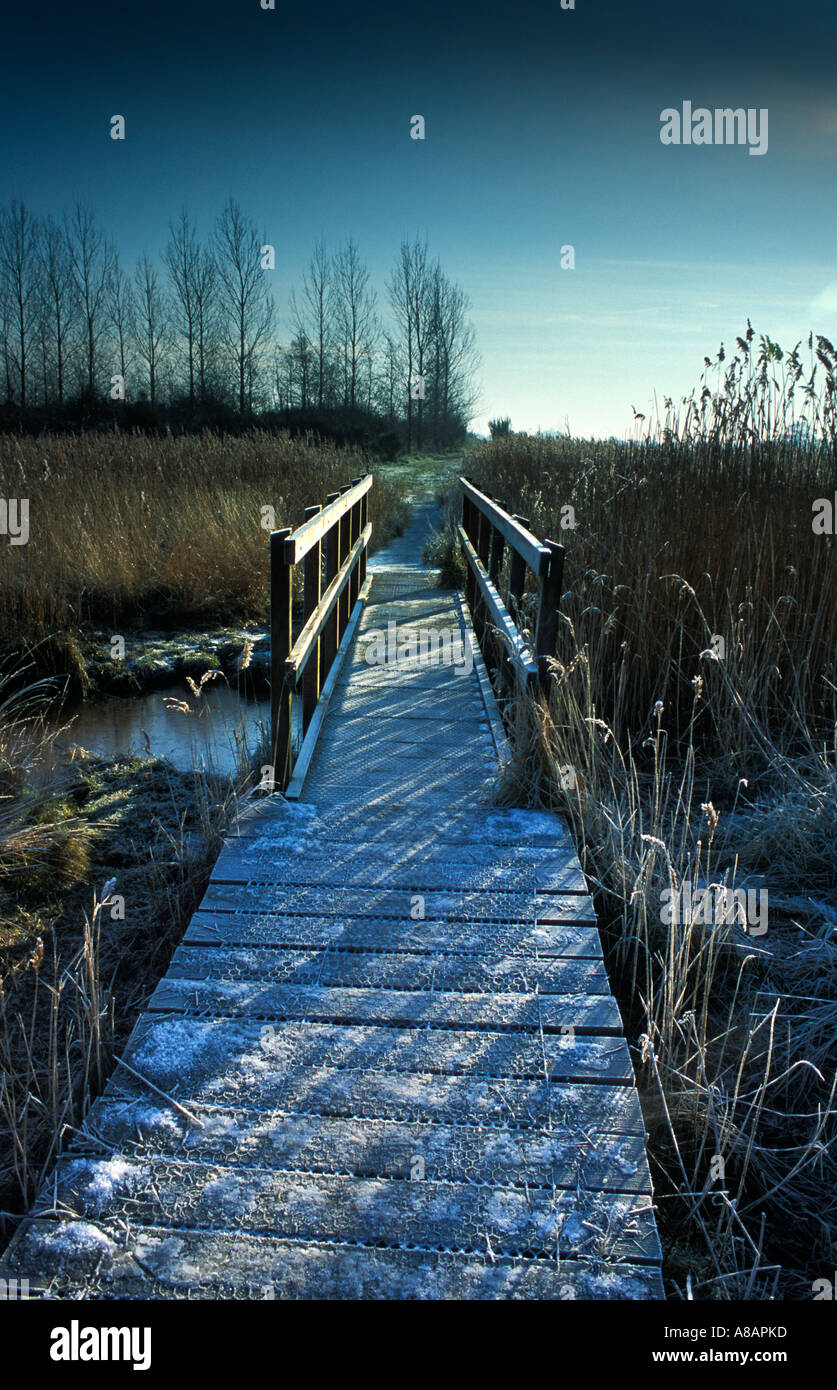 Snape suffolk winter hi-res stock photography and images - Alamy