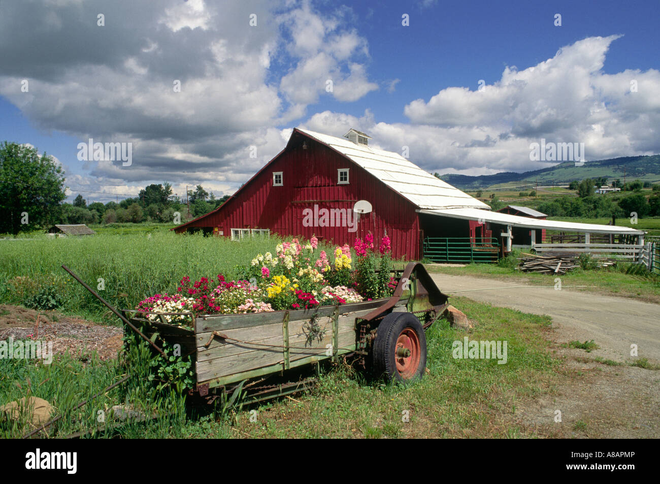 RED BARN and FLOWERS OREGON FARM Stock Photo - Alamy