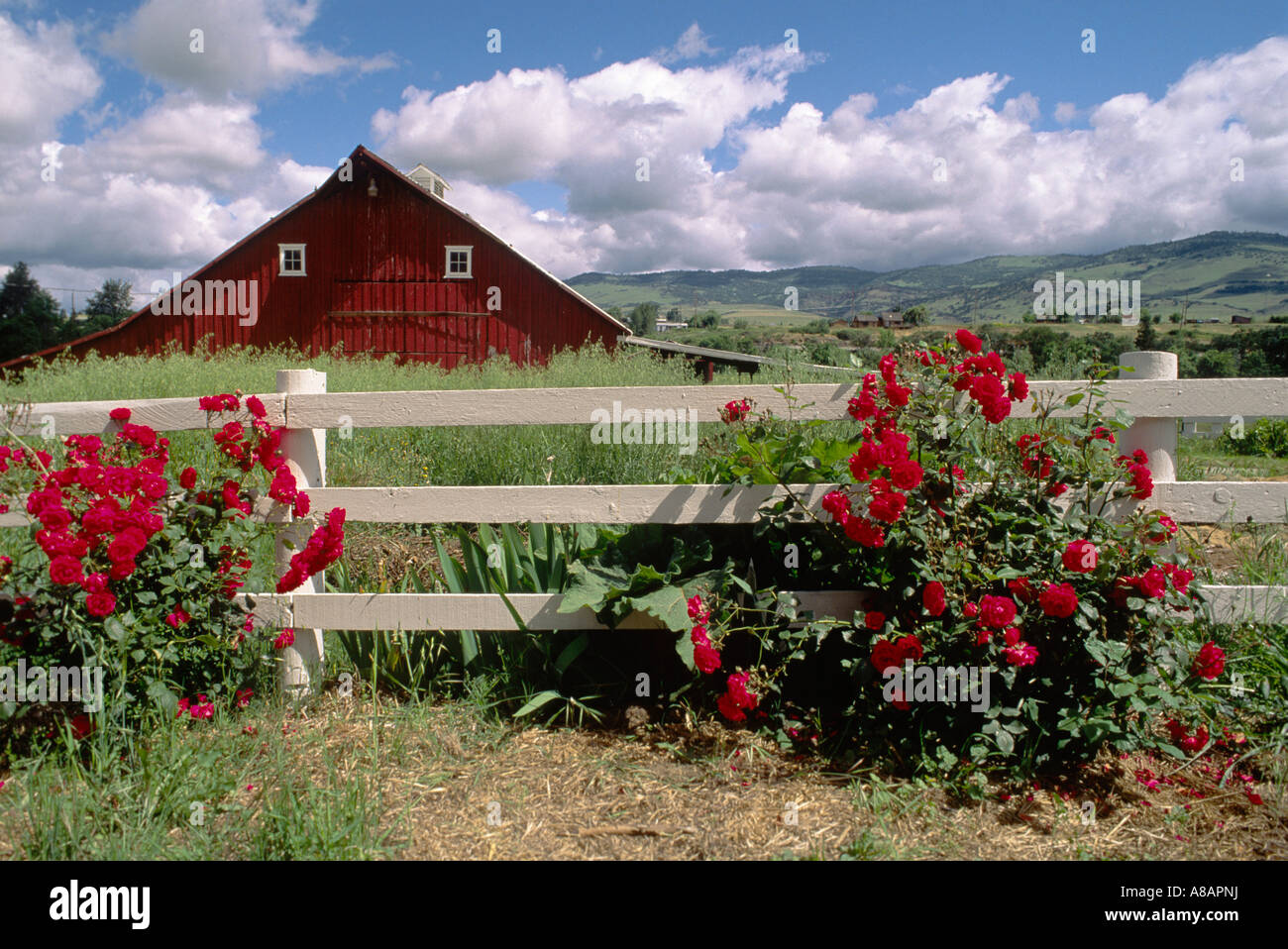 RED BARN detail in southern OREGON Stock Photo - Alamy