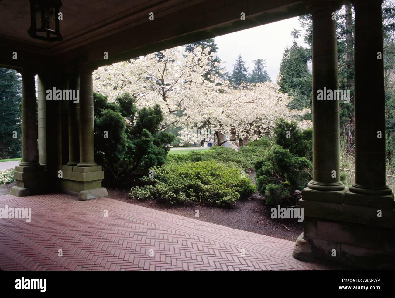 CAR PORT and BLOSSOMING CHERRY TREE at the PITTOCK MANSION PORTLAND ...