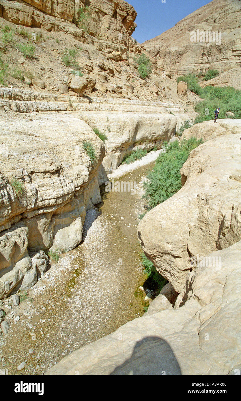 Ein Gedy Spring 1 Stock Photo - Alamy