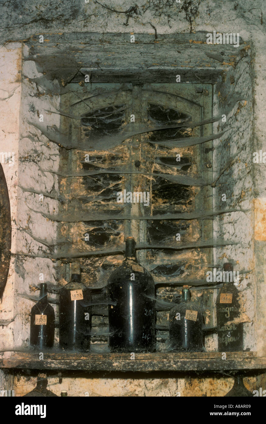 Dusty and cobweb covered window and bottles in a Cognac cellar France ...