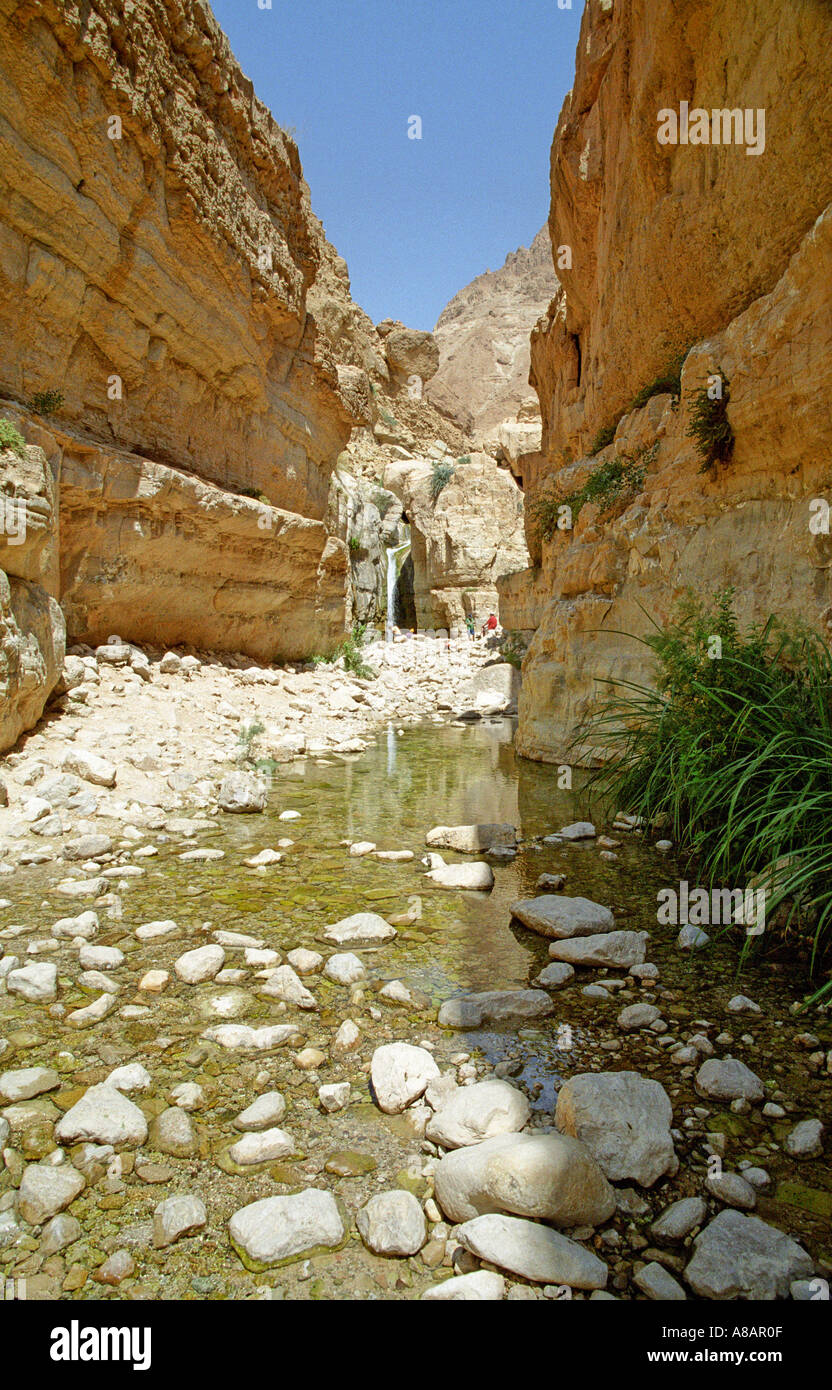 Gedy hi-res stock photography and images - Alamy