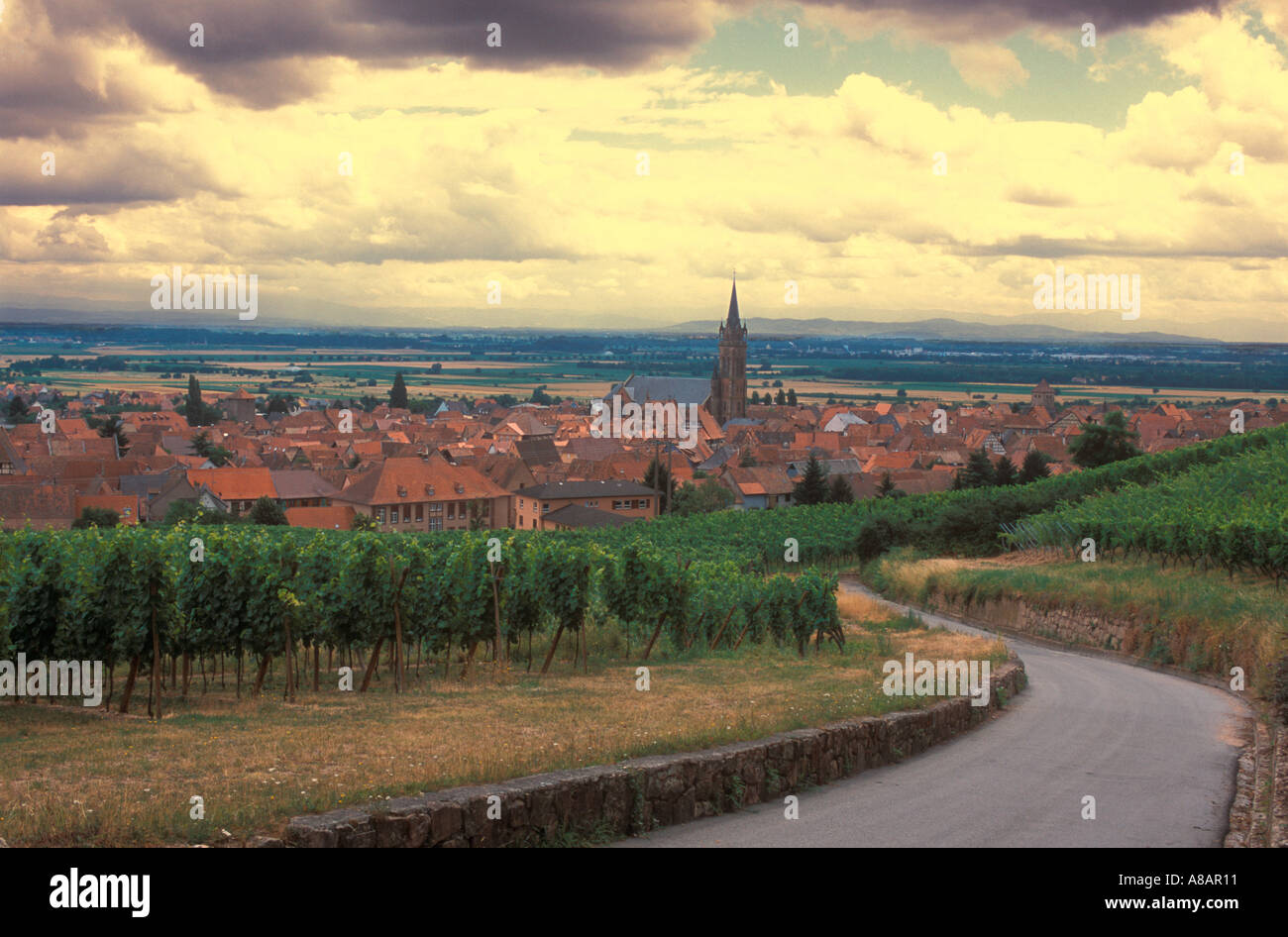Dambach la Ville Alsace France Wine Route Stock Photo - Alamy