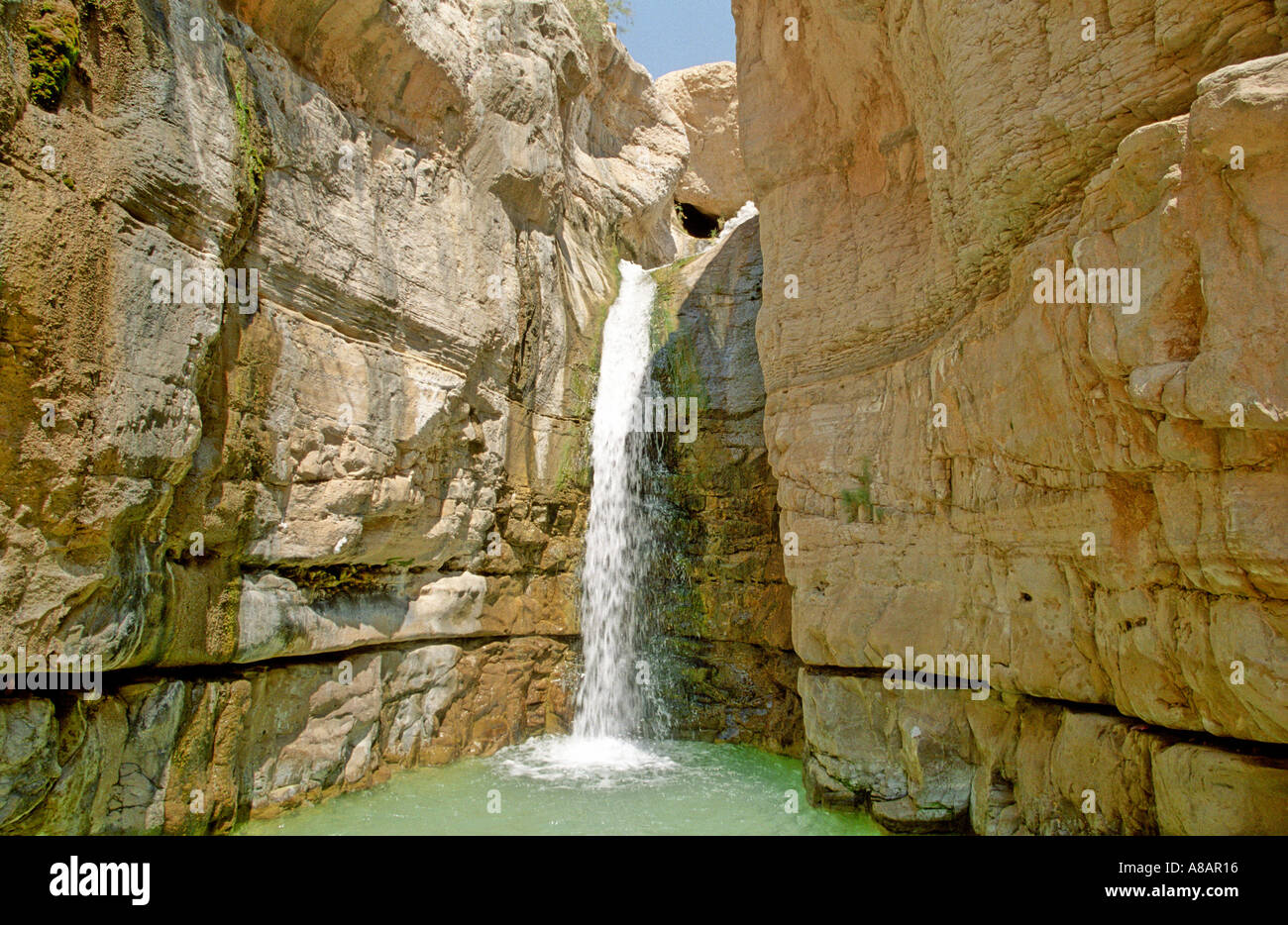Ein gedy hi-res stock photography and images - Alamy
