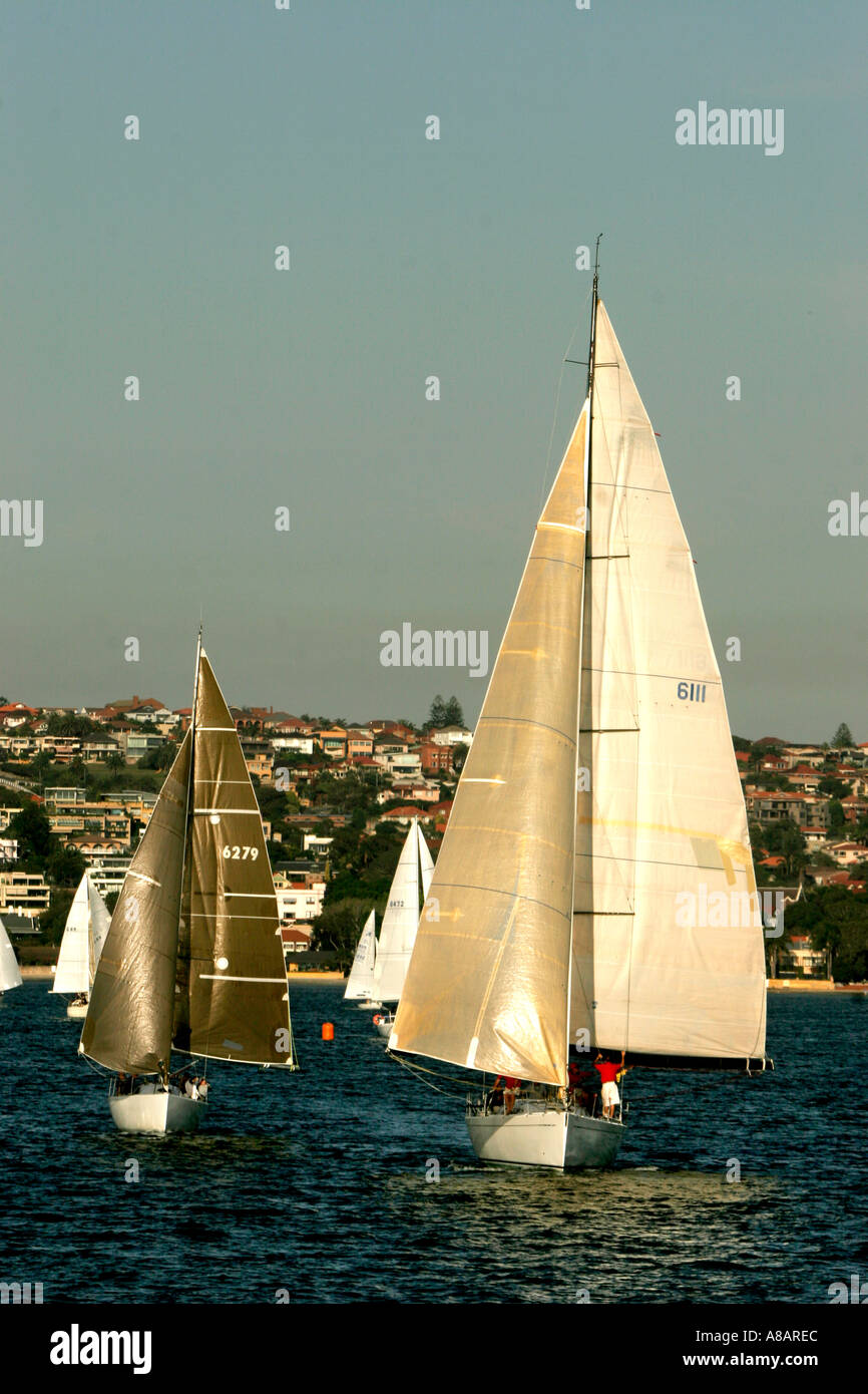Yachts sailing off the wind on Sydney harbor Stock Photo - Alamy