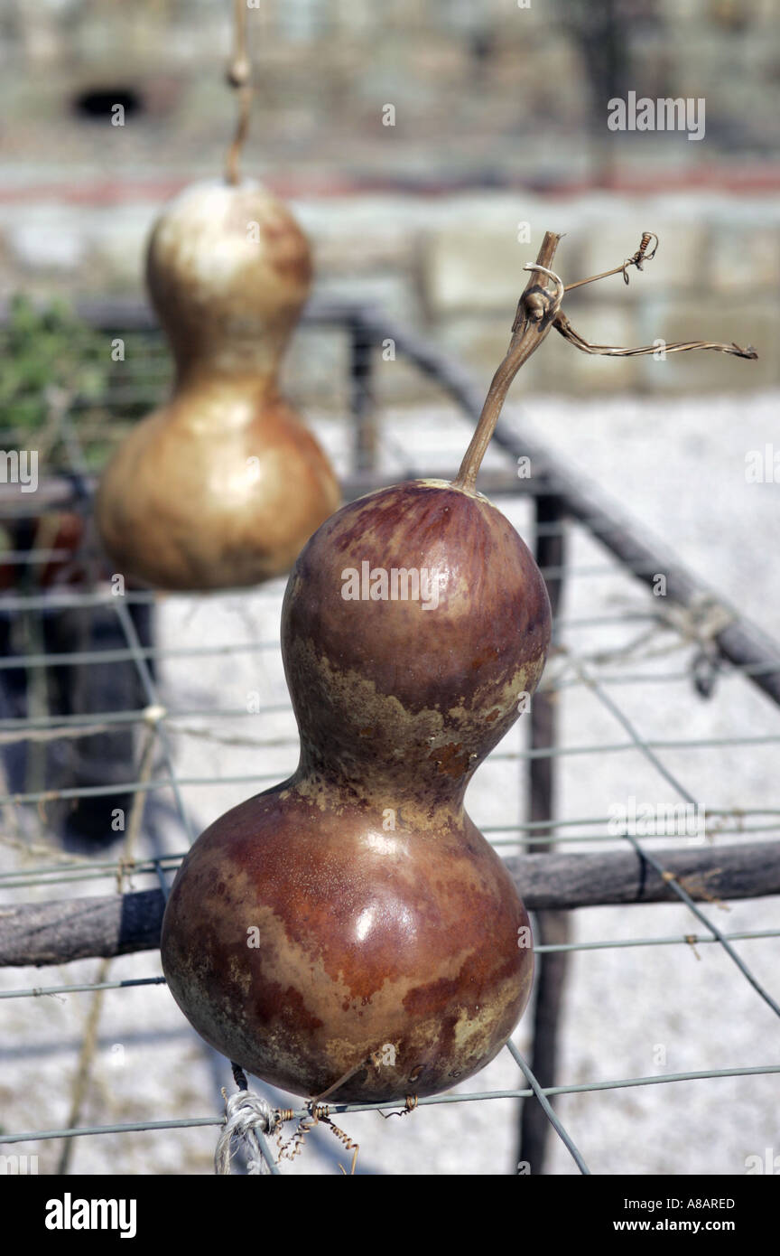 O gardens hi-res stock photography and images - Alamy