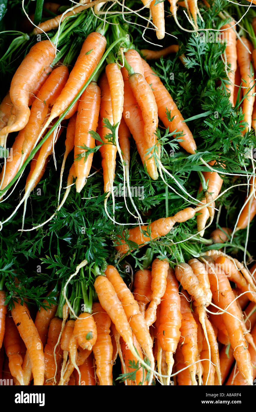 Fresh organic baby carrots at a farmers market Stock Photo - Alamy