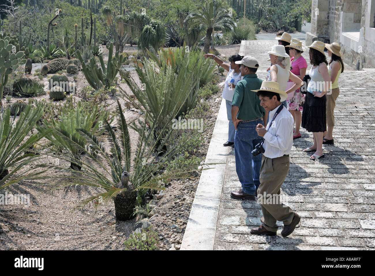 Tour guide group oaxaca mexico hi-res stock photography and images - Alamy