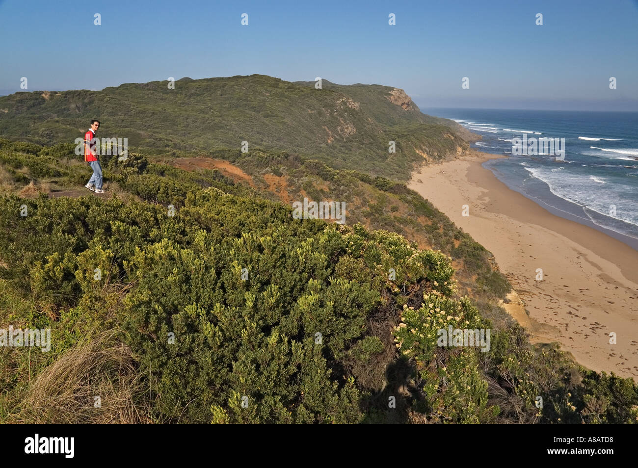 Castle Cove on the Great Ocean Road in Victoria Australia Stock Photo ...