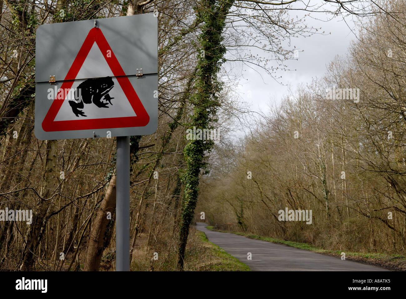 Beware frog toad warning sign hi-res stock photography and images - Alamy