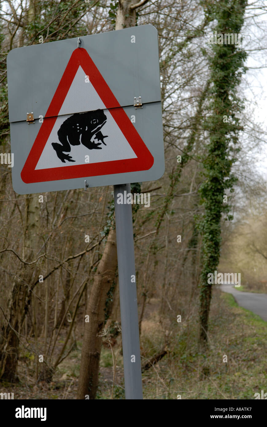 Road sign Beware of Toads, Frog and Toad crossing the road Horsley ...