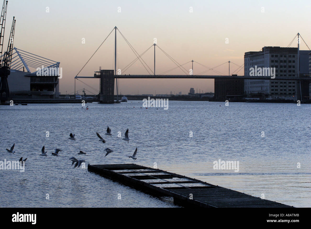 Royal Victoria Dock East London Picture by Alan Weller Stock Photo - Alamy