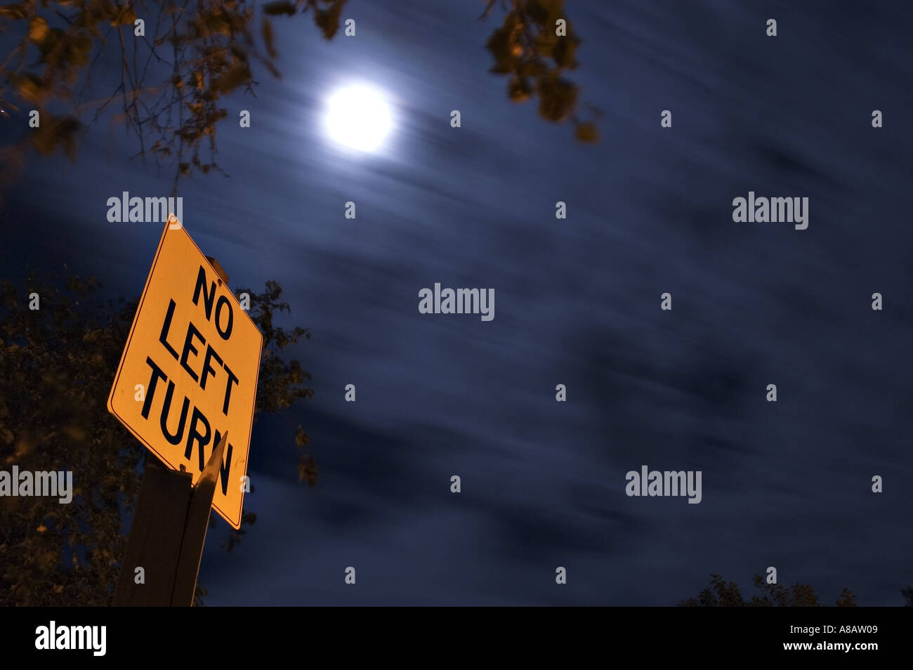 Moonlit scene in Bellbrae Australia Stock Photo - Alamy