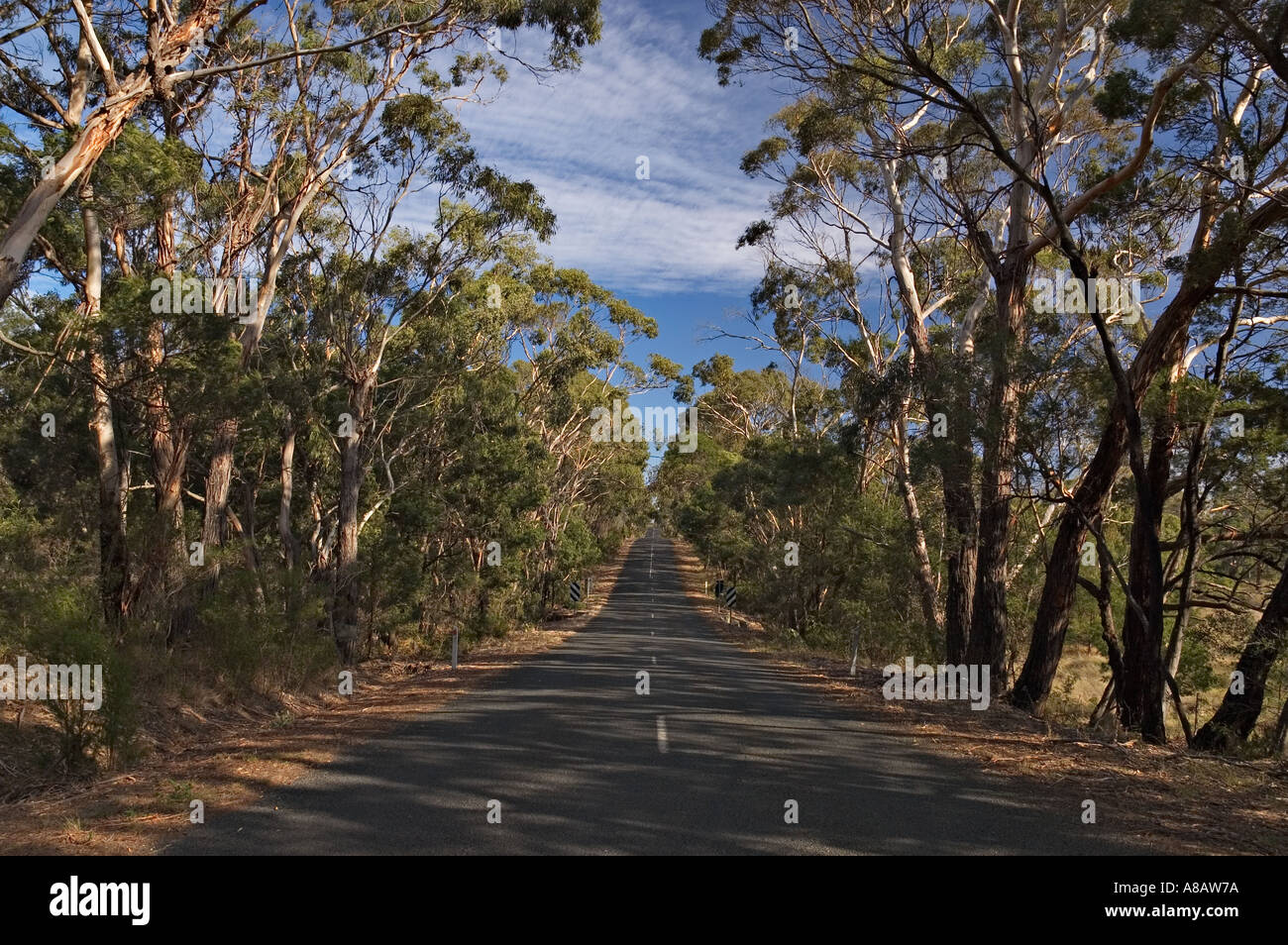 Rural country road in Bellbrae in Victoria Australia Stock Photo - Alamy