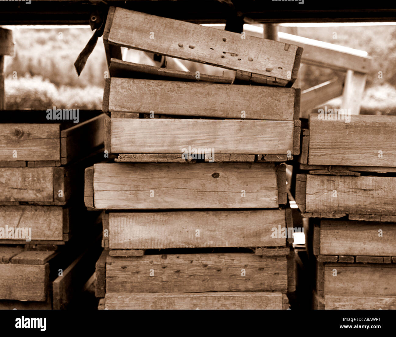 Common name: Wooden seed boxes Stock Photo - Alamy