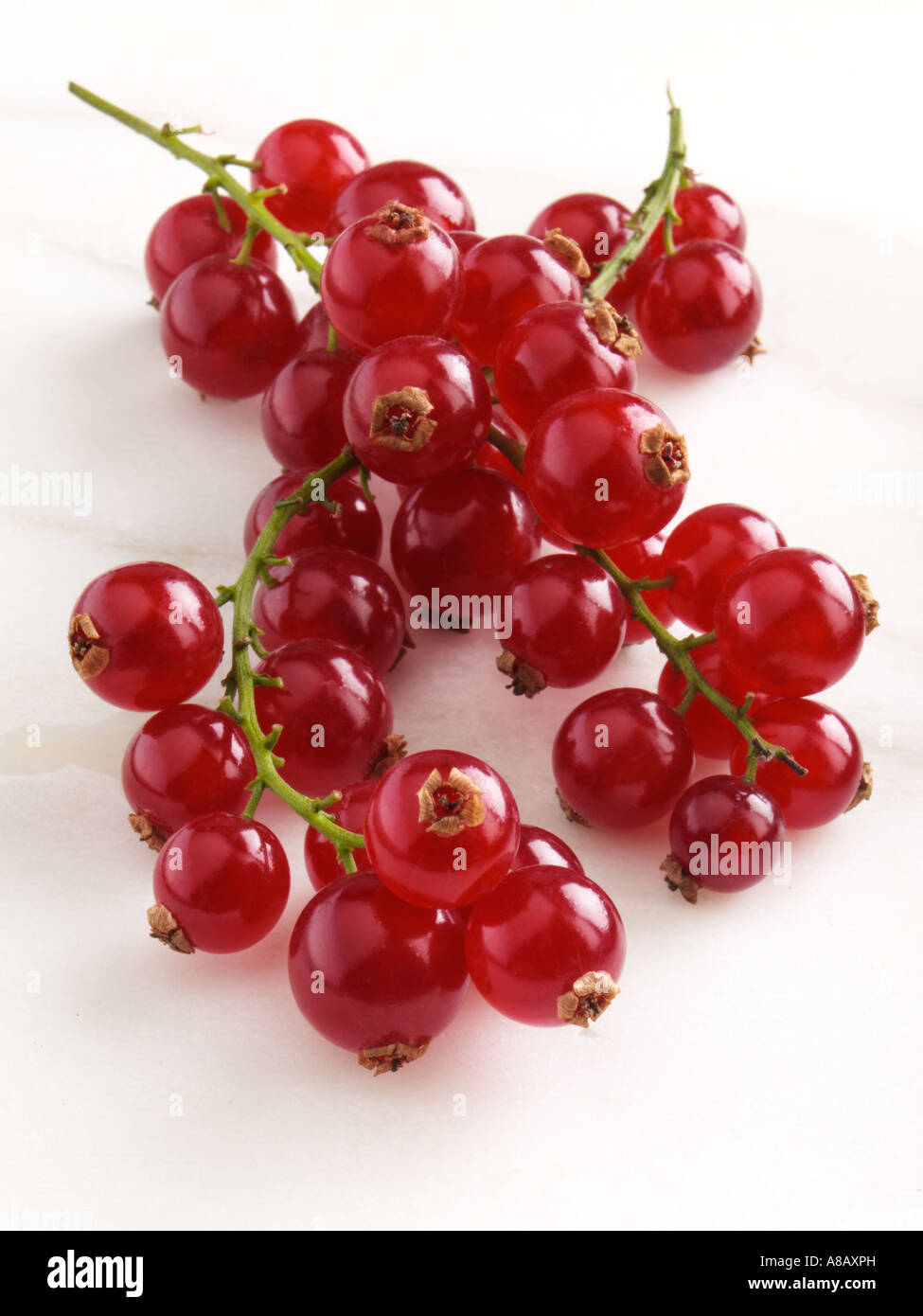 A bunch of red currants on a white background editorial food Stock ...