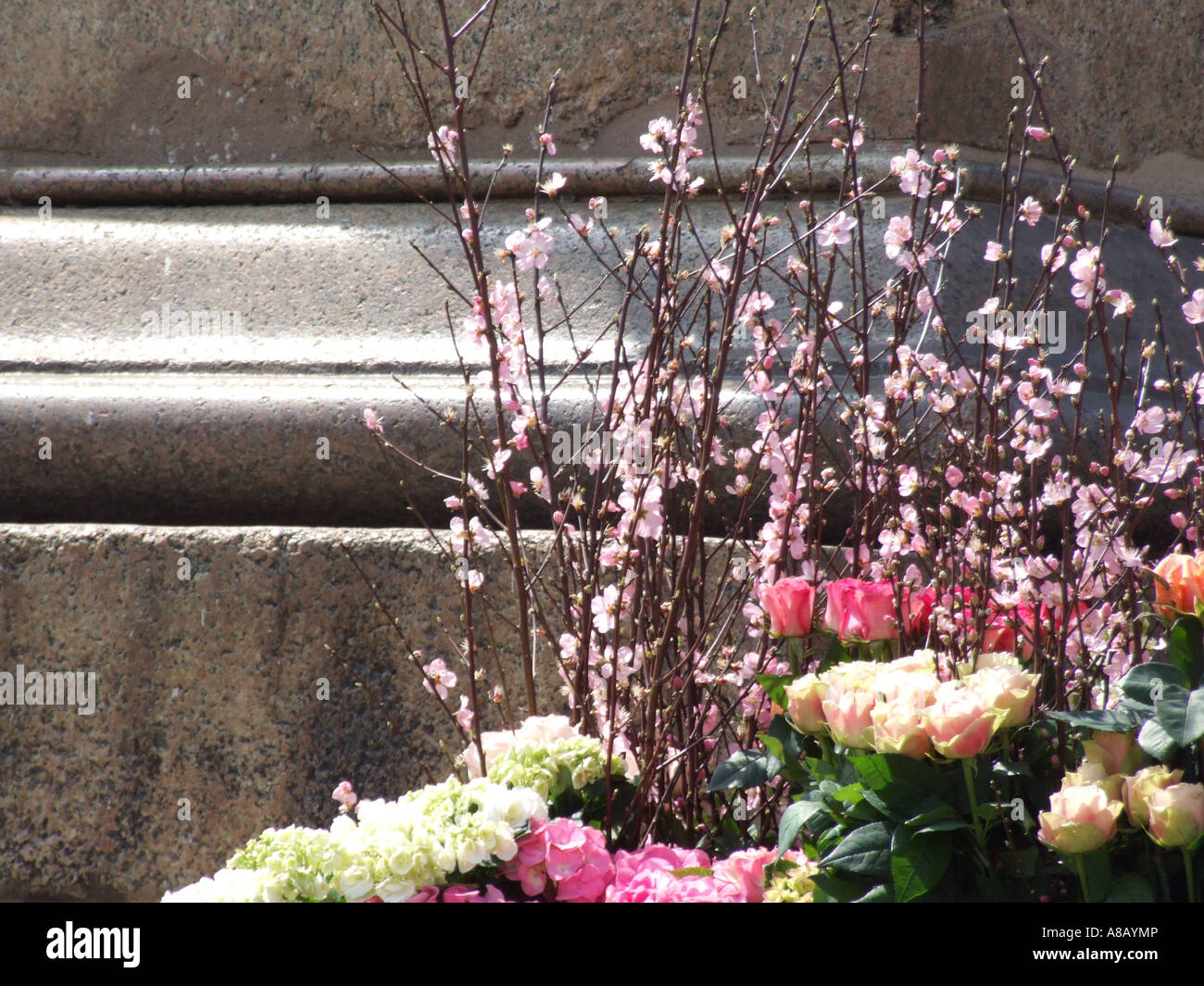 floral arrangement at easter in the vatican rome Stock Photo - Alamy