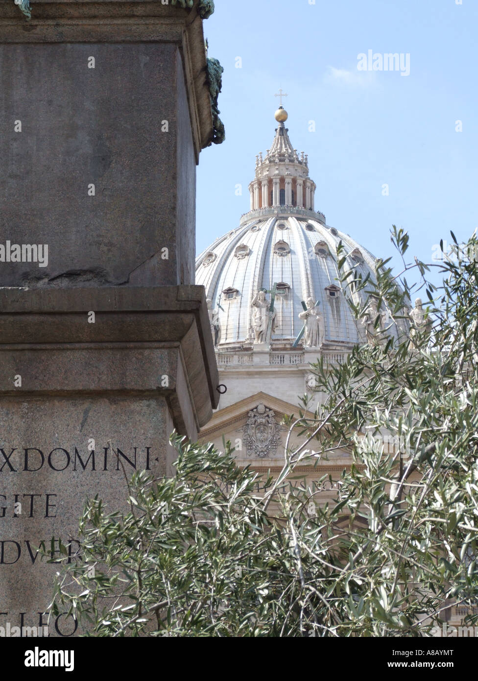 Floral arrangement olive tree hi-res stock photography and images - Alamy