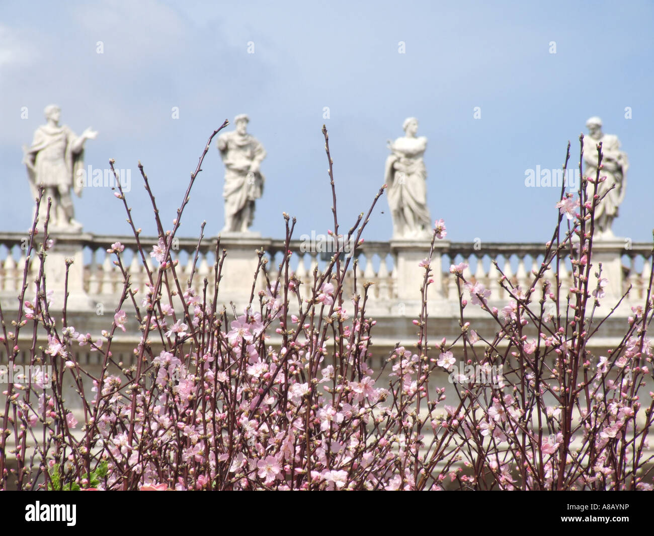 floral arrangement in the vatican at easter rome Stock Photo - Alamy