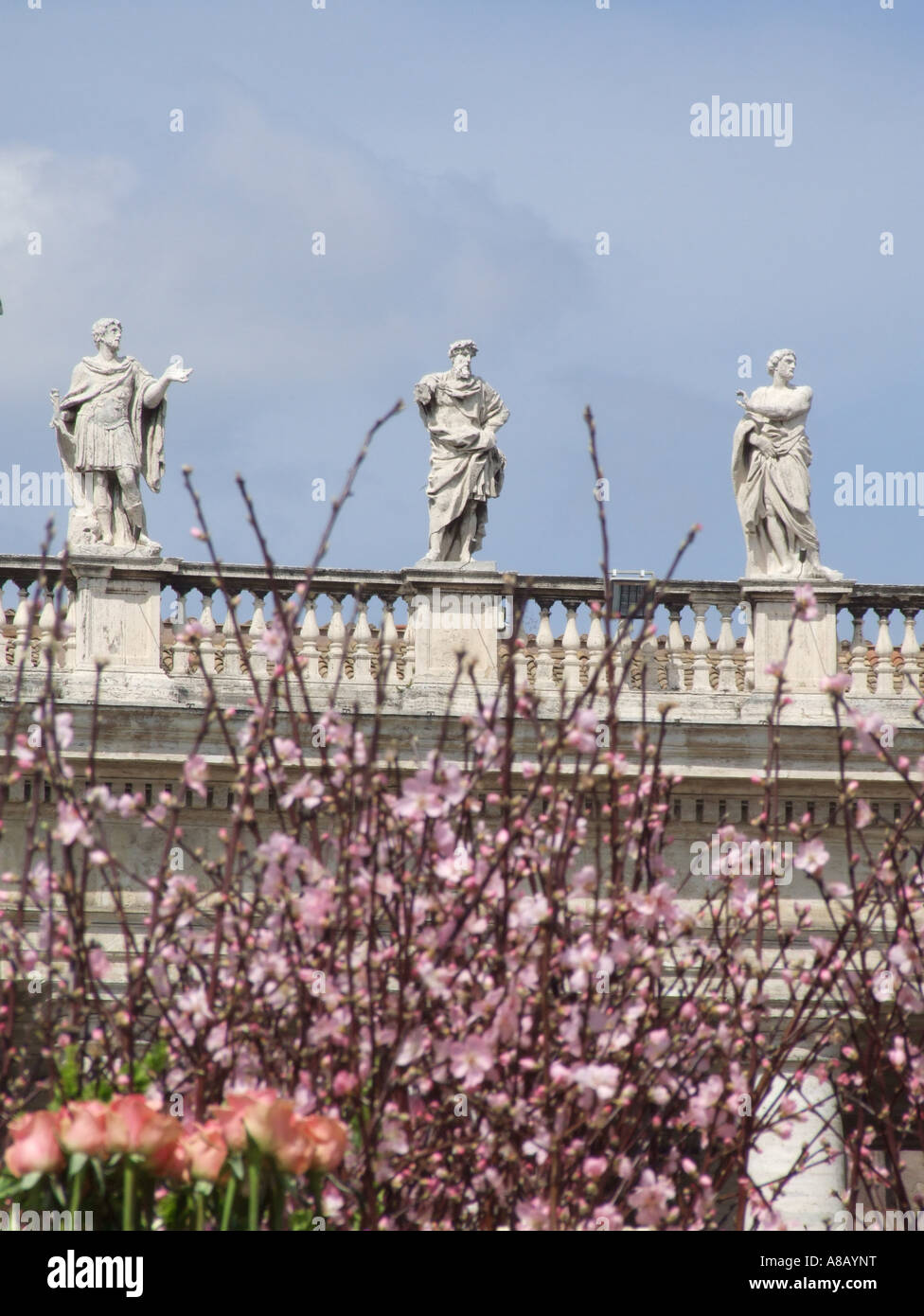 floral arrangement in the vatican at easter rome Stock Photo - Alamy