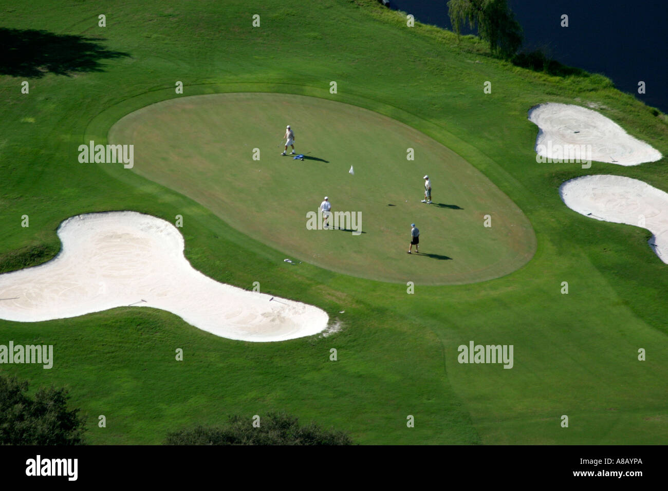 Florida birds golf course hi-res stock photography and images - Alamy