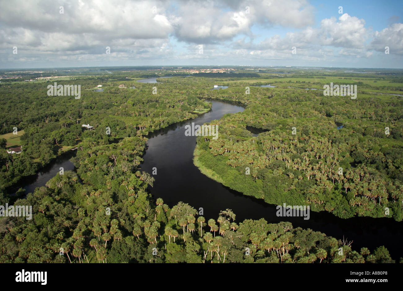 Aerial view of Manatee River in Florida Stock Photo - Alamy