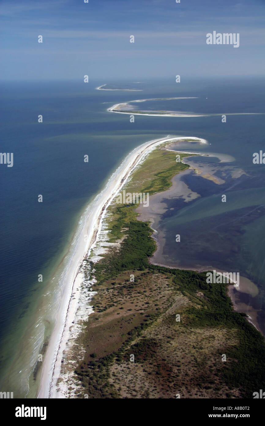 Are Dogs Allowed At Hog Island