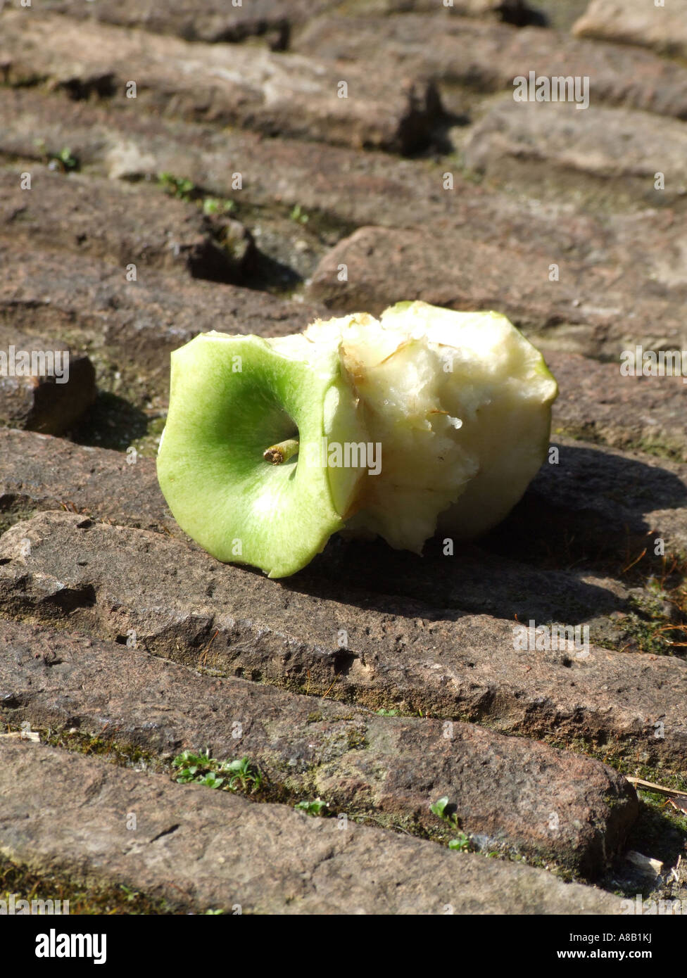 one apple on floor Stock Photo - Alamy
