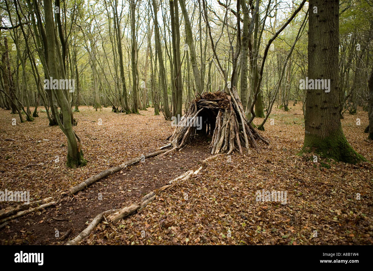 Wooden hut made from cut branches and logs in a forest Stock Photo - Alamy
