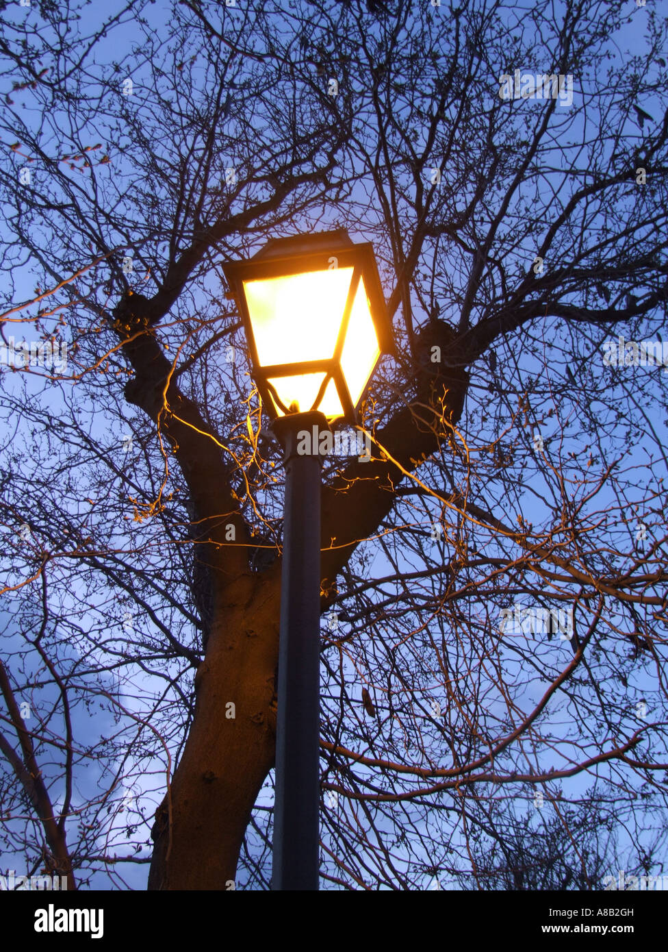 one street lamp at night Stock Photo - Alamy