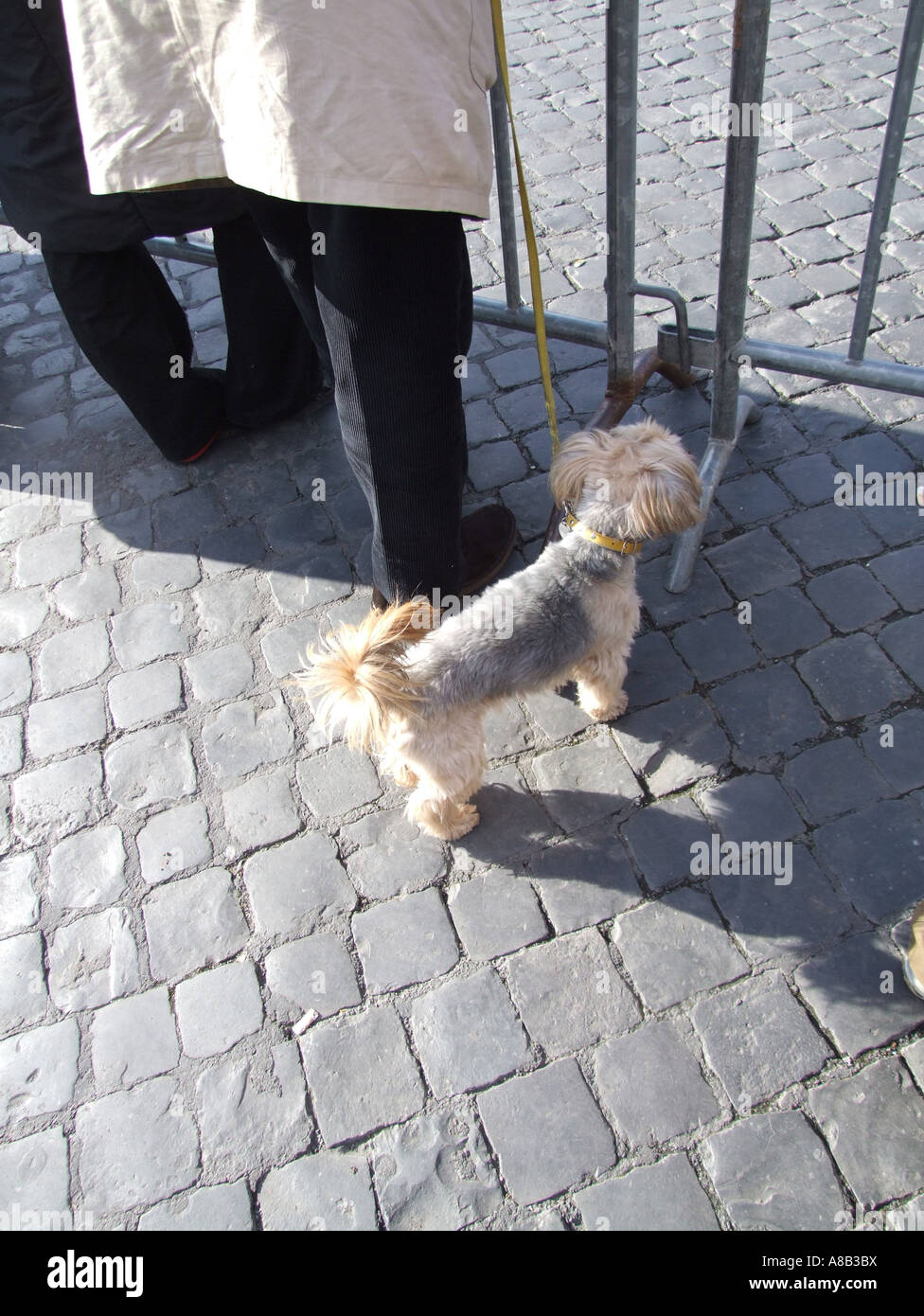 one person walking in street in city town Stock Photo - Alamy