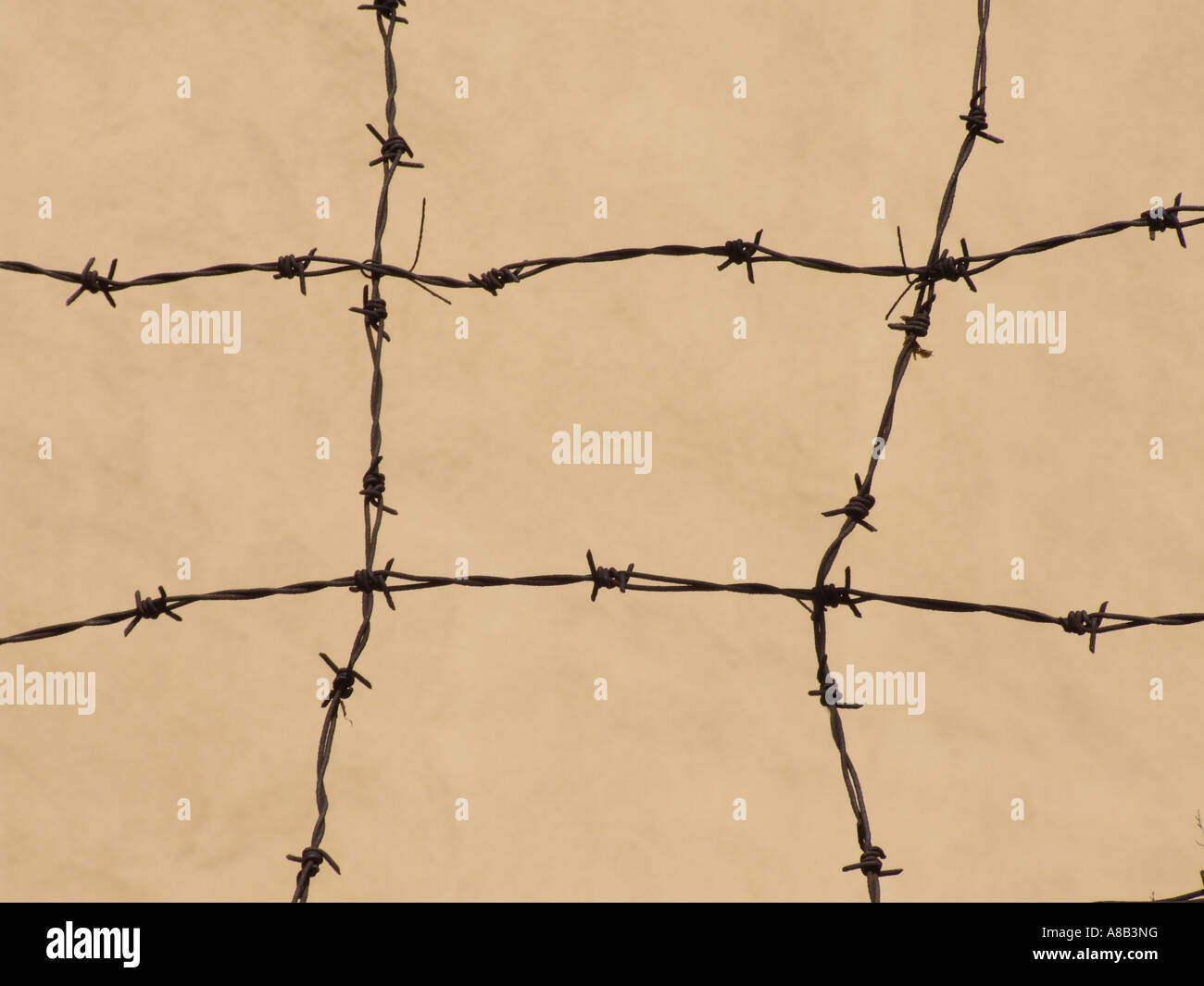 barbed wire fence Stock Photo - Alamy