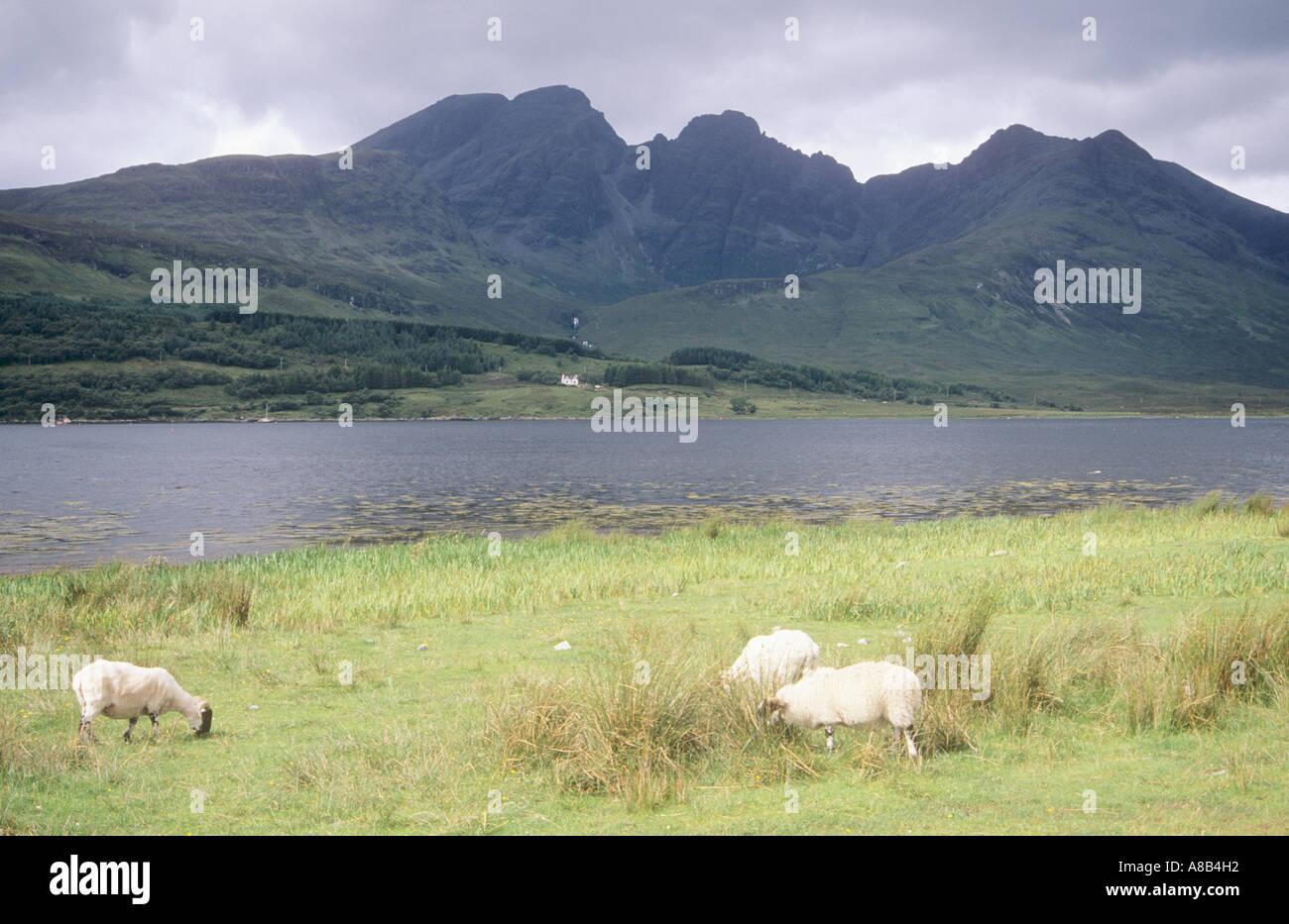Bla Bheinn (Blaven) above Loch Slapin, Isle of Skye, Scotland, UK Stock ...