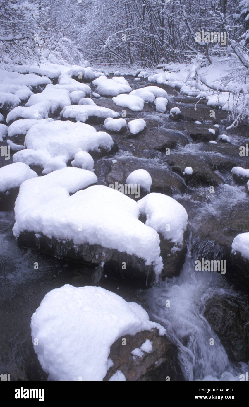 Mountain stream after a heavy fall of snow Stock Photo - Alamy