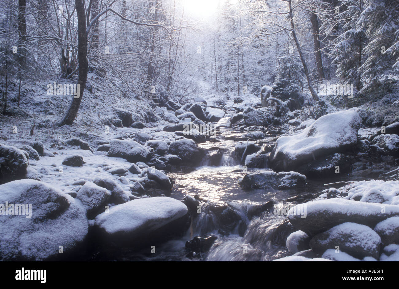 Mountain stream after a heavy fall of snow Stock Photo - Alamy