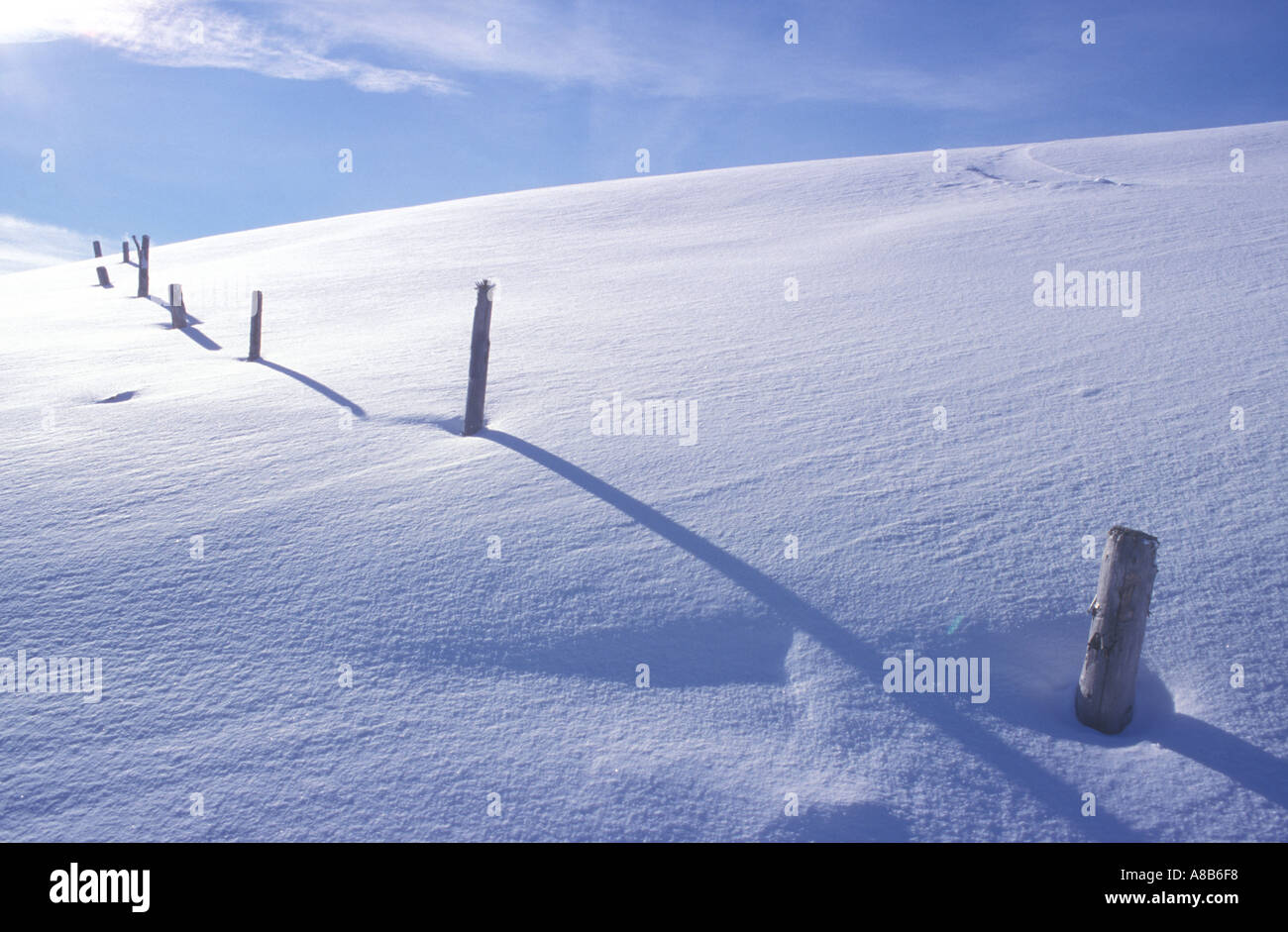 Row of fence stakes in snow Stock Photo - Alamy