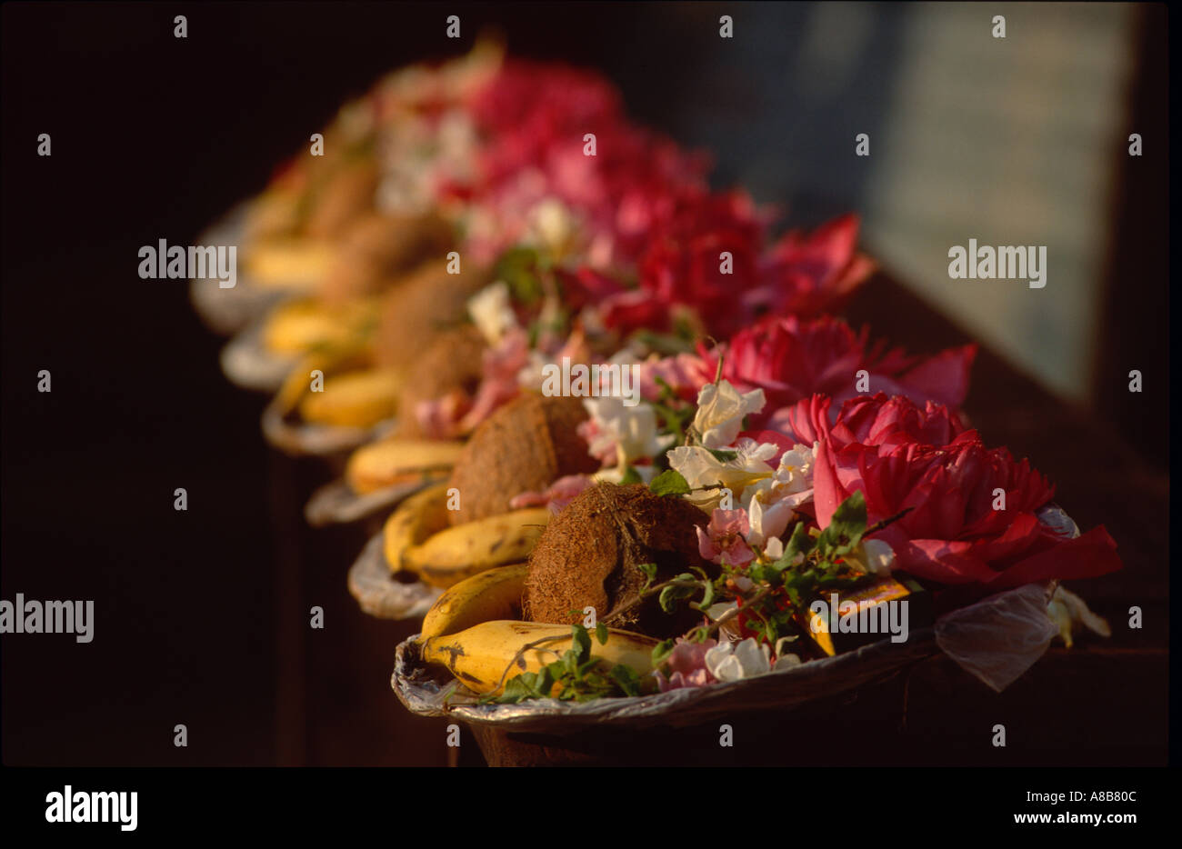 Religious offerings of coconut, bananas and flowers for sale at the ...